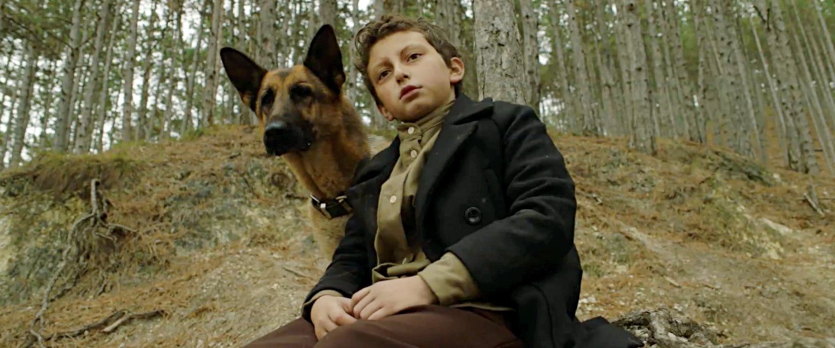 Shepherd: The Story of a Jewish Dog movie review (2021) | Roger Ebert