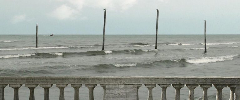 24 Frames movie review & film summary (2018) | Roger Ebert