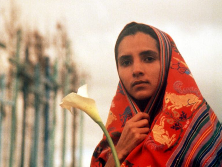 El Norte movie review & film summary (1983) | Roger Ebert