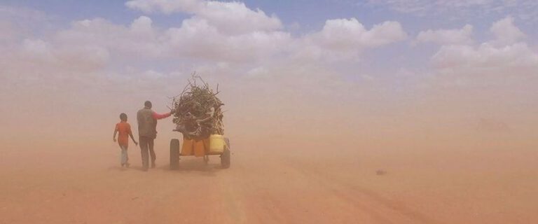 Human Flow movie review & film summary (2017) | Roger Ebert