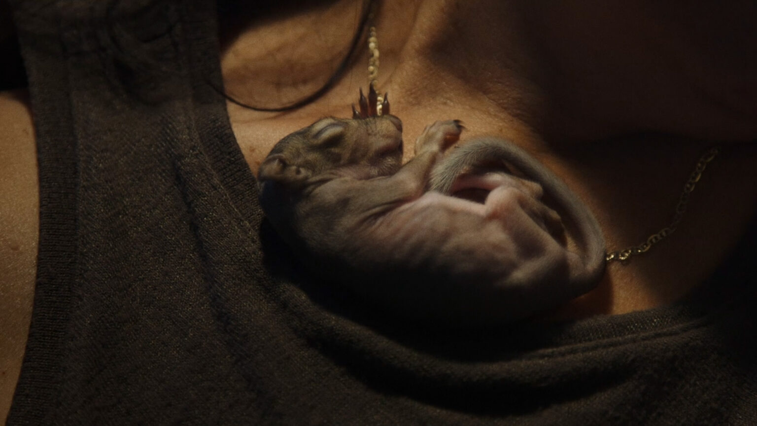 Short Films in Focus: My Dudus