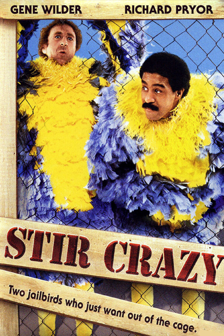 Stir Crazy movie review & film summary