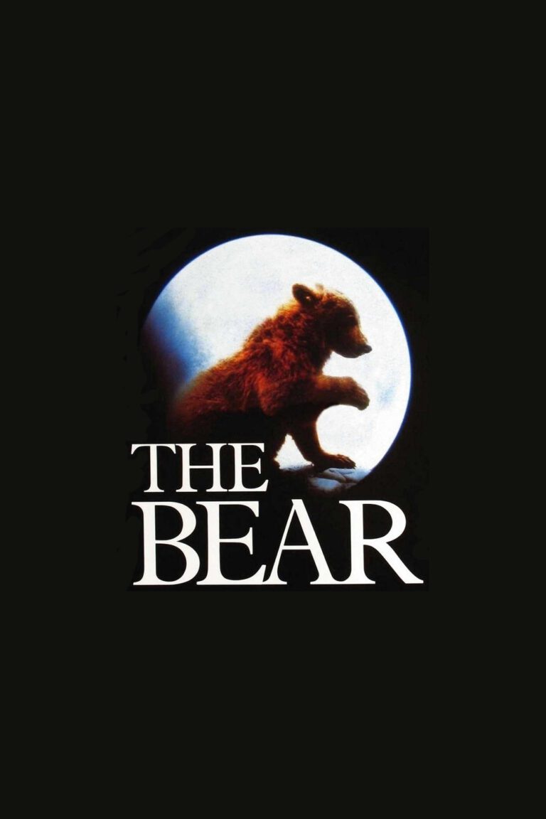 The Bear movie review & film summary