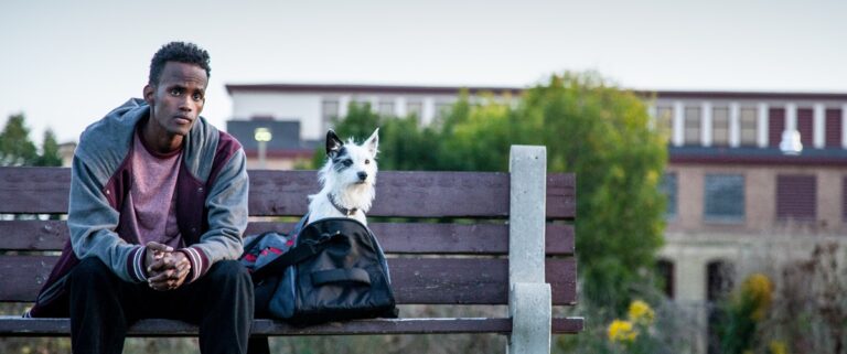 A Stray movie review & film summary (2016) | Roger Ebert