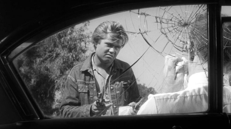 “Al and I called him ‘Ziggy’”: Producer Sam Sherman Remembers The Early ...