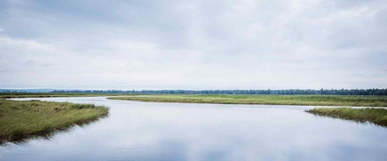 Bad River movie review & film summary (2024) | Roger Ebert