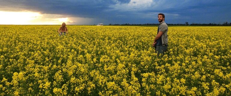 Cut Bank movie review & film summary (2015) | Roger Ebert