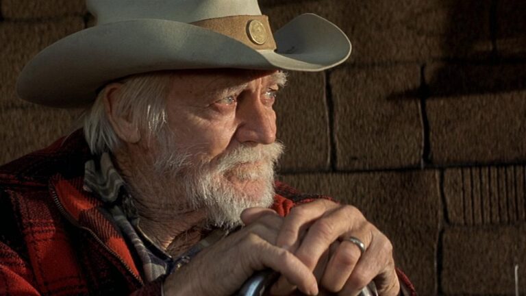 Getting to the Heart of America in David Lynch's The Straight Story
