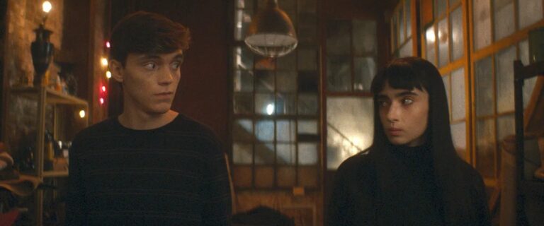 Humanist Vampire Seeking Consenting Suicidal Person movie review (2024 ...