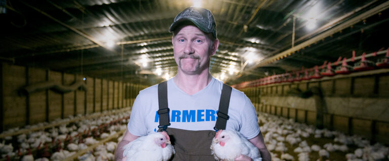 Super Size Me 2: Holy Chicken! movie review (2019) | Roger Ebert