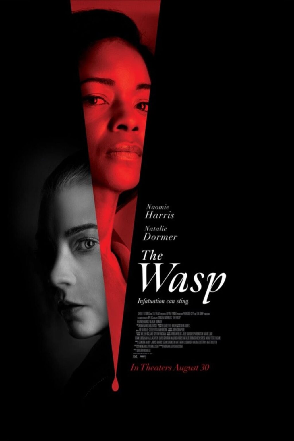 The Wasp movie review & film summary