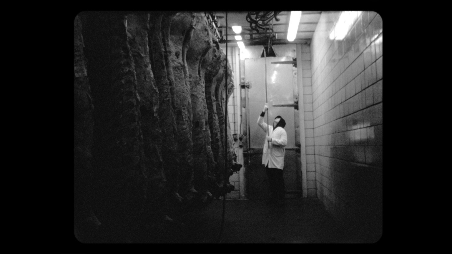 Short Films in Focus: Fleshwork (with Director Lydia Cornett ...