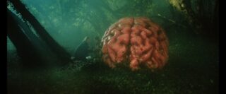 Rumours movie review & film summary (2024) | Roger Ebert