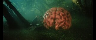 Rumours movie review & film summary (2024) | Roger Ebert