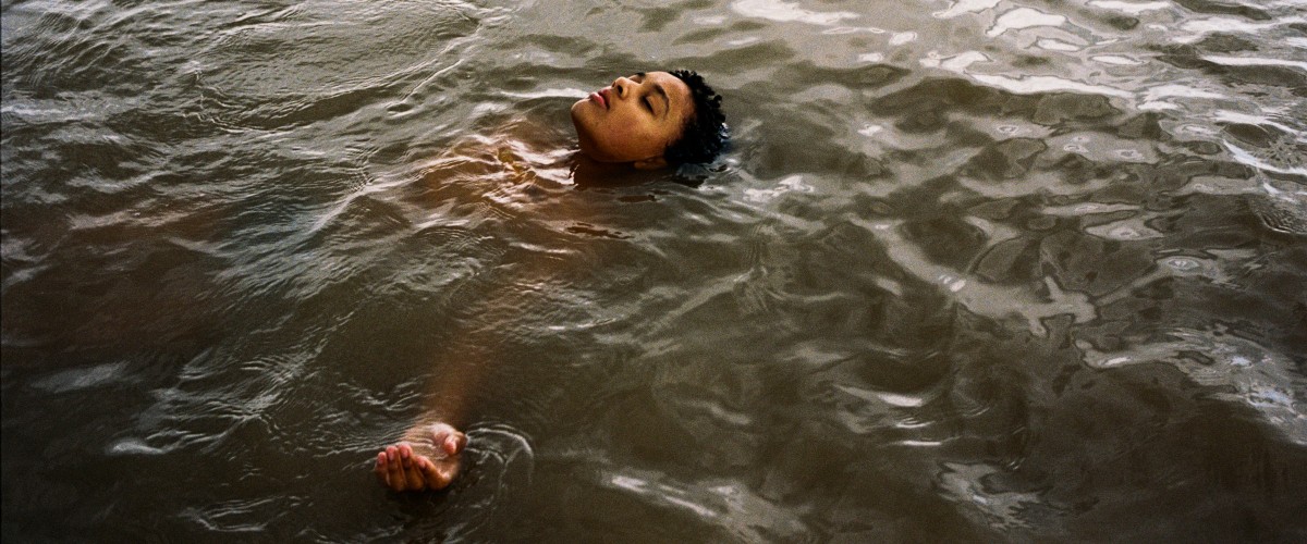 Bird movie review & film summary (2024) | Roger Ebert