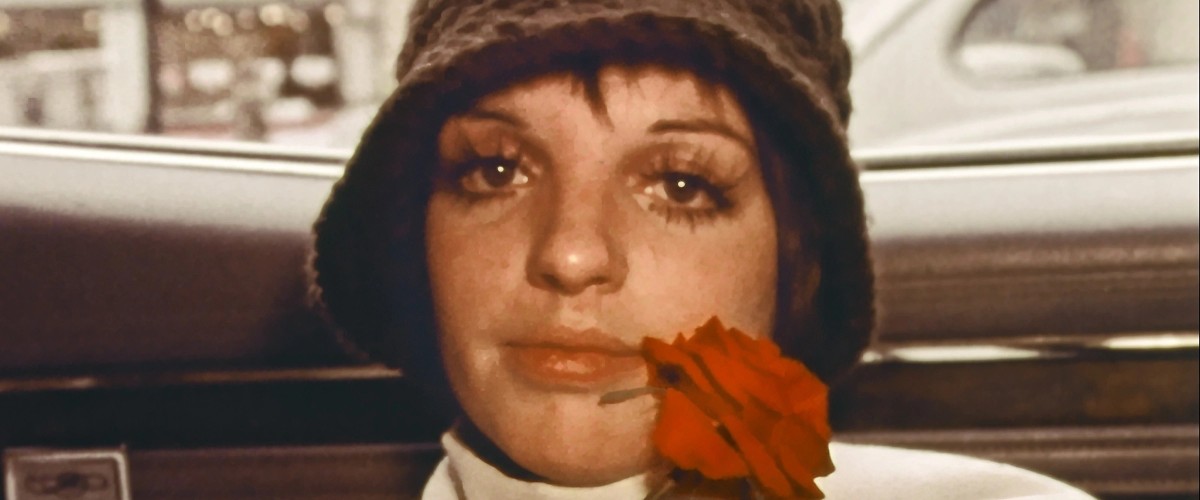 Liza: A Truly Terrific Absolutely True Story movie review