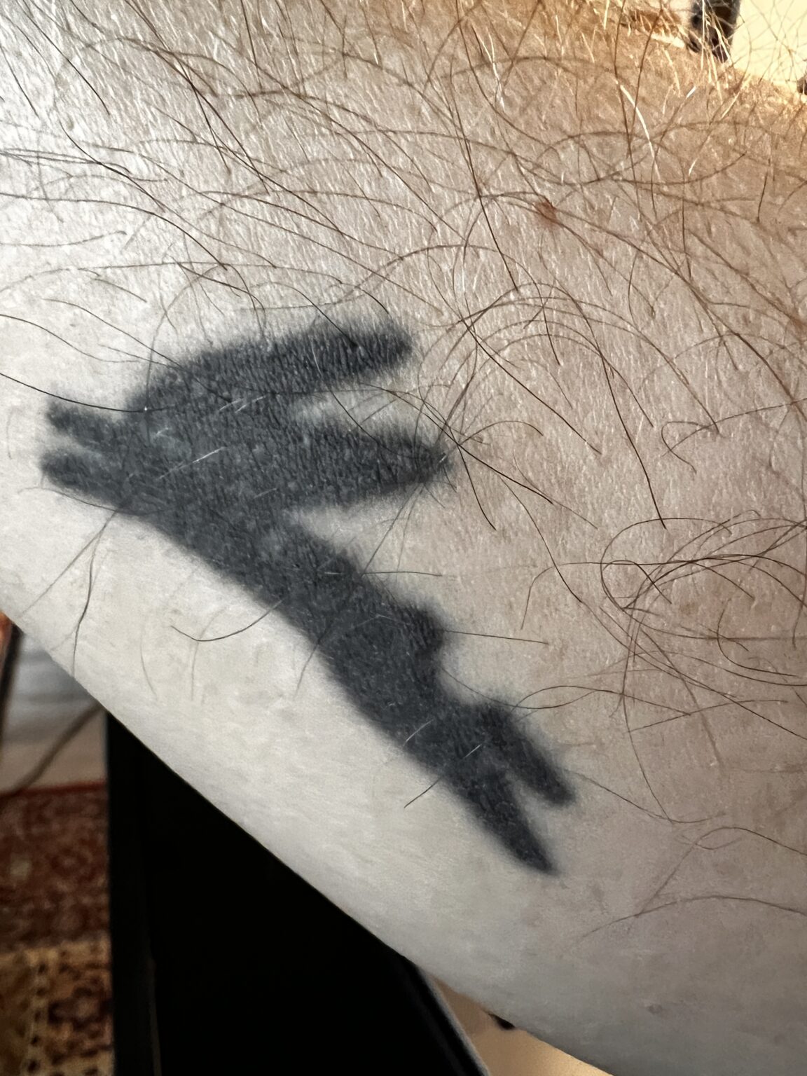 30 Minutes On: "Watership Down" | Features | Roger Ebert