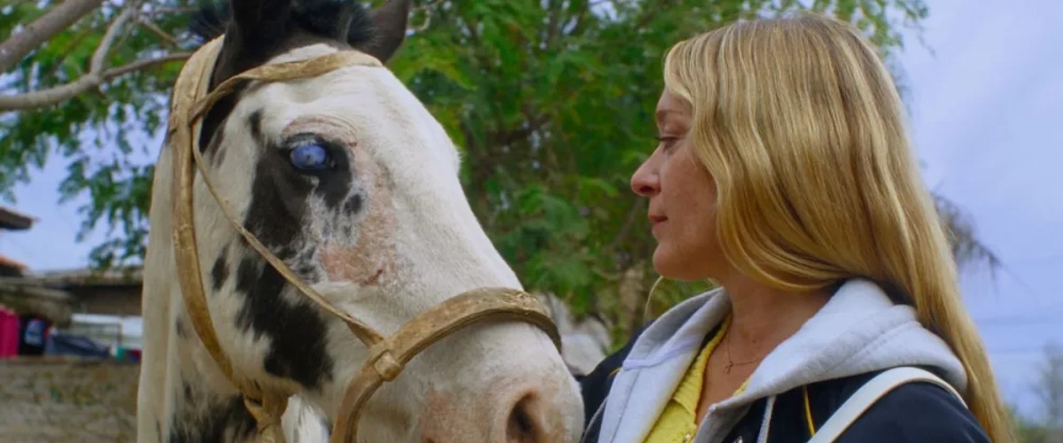 Magic Farm movie review & film summary (2025) | Roger Ebert