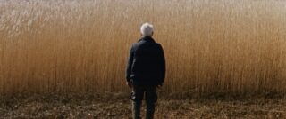 Cannes 2025: Sound of Falling, Reedland | Festivals & Awards | Roger Ebert