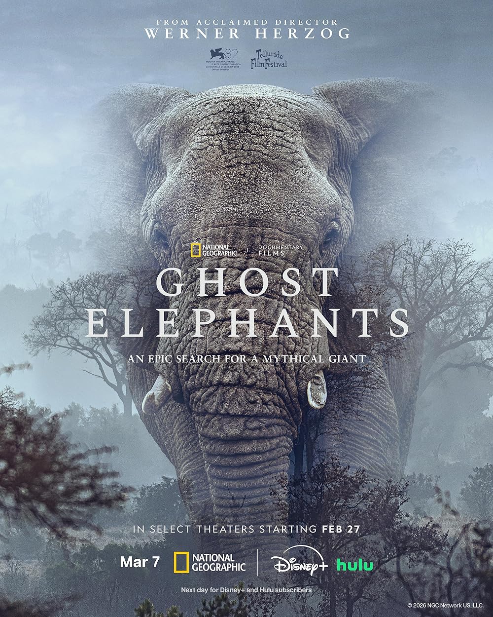 Ghost Elephants review: Werner Herzog, too, has a long memory
