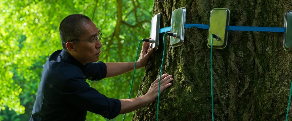 Silent Friend review: Tony Leung drama will leaf you mesmerized